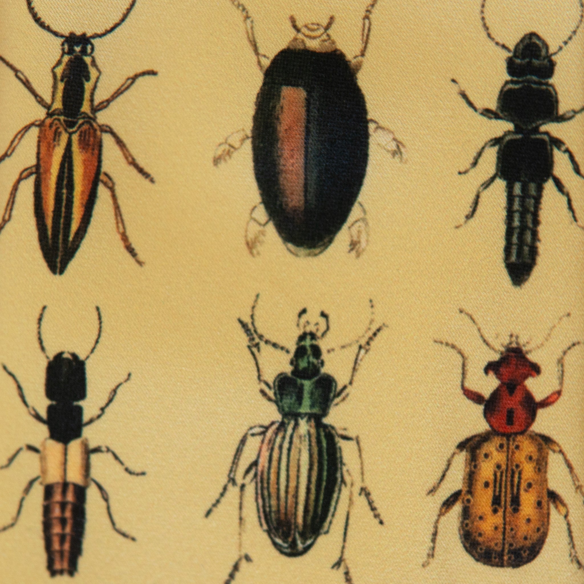 Bug Collection – Boon Ties
